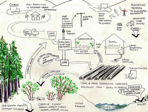 Biochar Appropedia The Sustainability Wiki