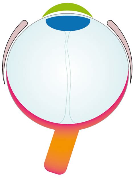 Disturbi Del Sistema Visivo Vista Fragile