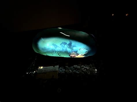 Sciart Research Trip Supercollider
