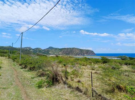 Statia Almond Grove St Maarten Almond Grove St Maarten Land For