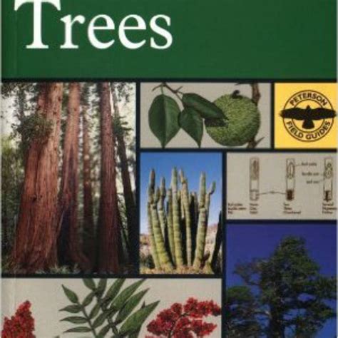 The 6 Best Tree Identification Guides