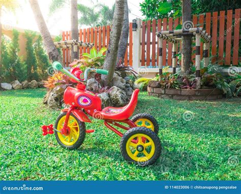 Red Bike Tricycle In The Garden Park Playground At Home Flare Light