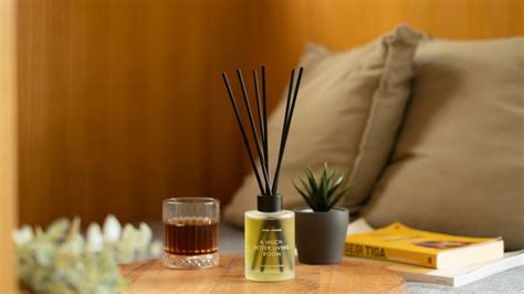 Inilah Perbedaan Diffuser Humidifier Dan Air Purifier Untuk Rumah Ka