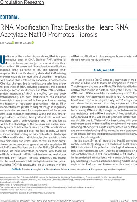 Rna Modification That Breaks The Heart Rna Acetylase Nat10 Promotes