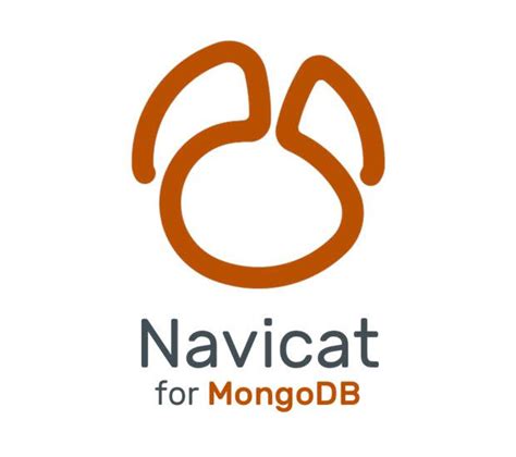 Navicat 17 For Mongodb Non Commercial Edition Perpetual License 非商業版