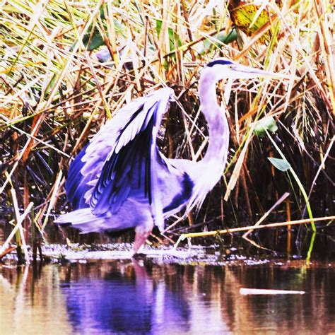 2022 12 10 05 08 53 Mark Brucker Flickr