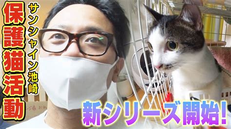 【保護猫活動】サンシャイン池崎！新シリーズが遂に始動！【のりしお】 Magmoe