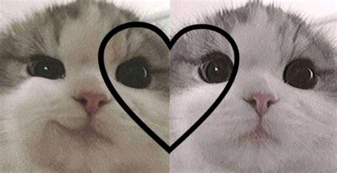 21 Pp Wa Couple Untuk Pacar Dan Bestie Ber 2 Terpisah