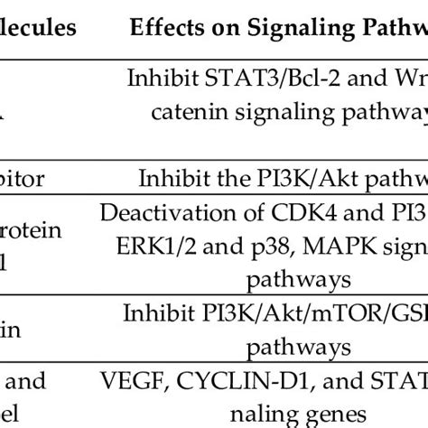 Gold Nanoparticle Bioconjugates Actively Targeting Tumor Signaling