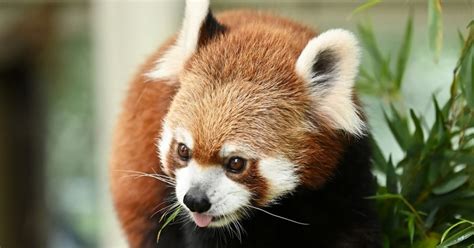 4월 22일은 지구의 날전국 생물다양성기관 모여 논의