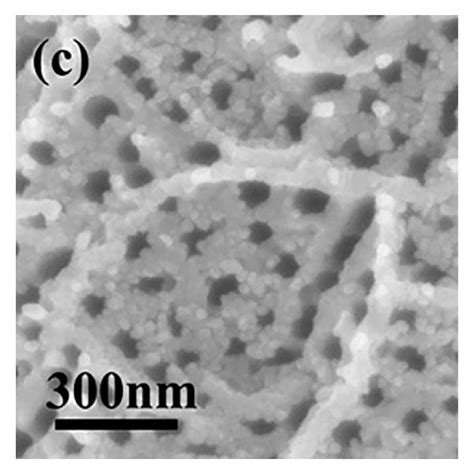 Morphologies Of As Obtained Samples Top View SEM Images Of A Pure