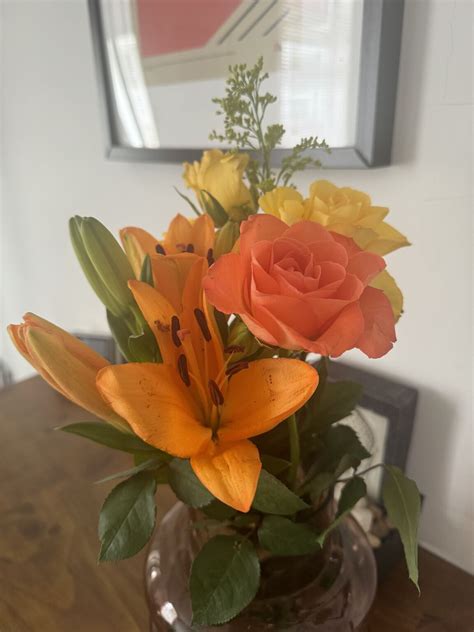 Nikola Parsova On Linkedin Recruitment Teamwork Support Sky