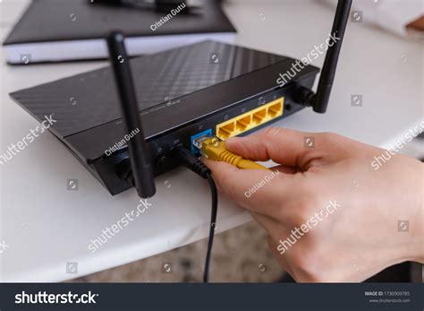 Woman Connects Internet Cable Routers Socket Stock Photo Shutterstock