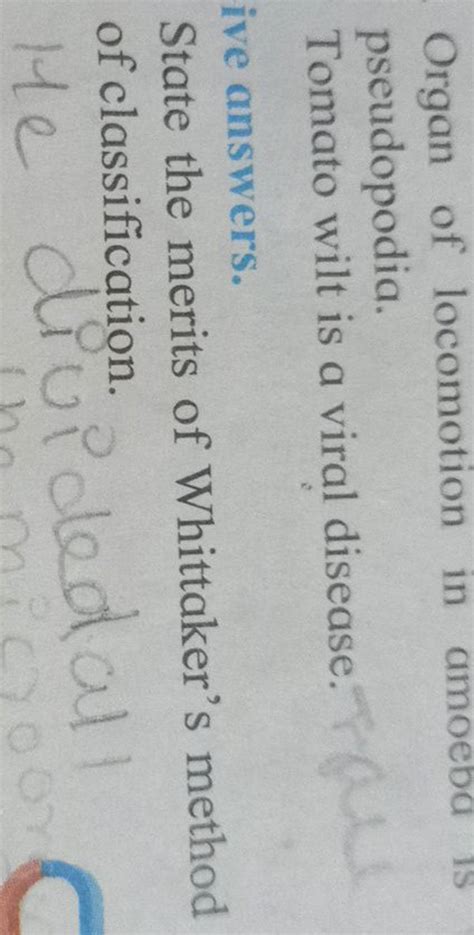 Organ Of Locomotion In Amoeba Is Pseudopodia Tomato Wilt Is A Viral Dise