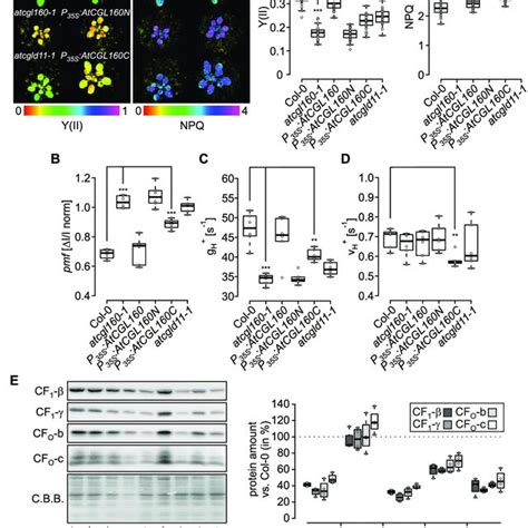 Topology Of Atcgl160 And Trypsin Cleavage Site Prediction A
