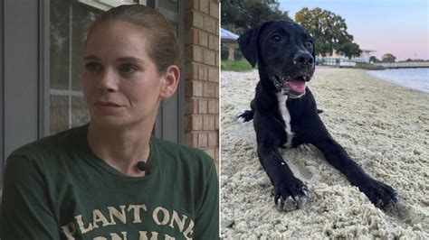 Local Pet Owners Targeted In Escambia County Lost Pet Scam Urge Caution