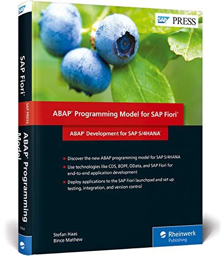 Amazon It Abap Programming Model For Sap Fiori Abap Development For