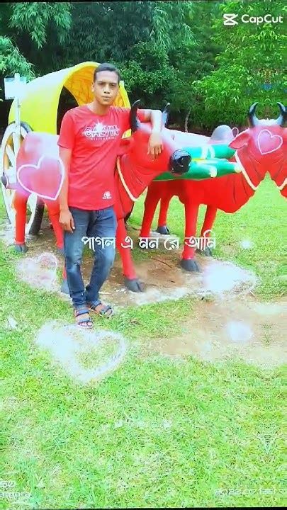 পিরিতেরি বান Youtube
