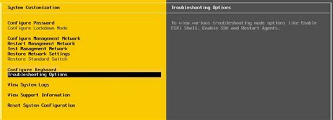 VMware ESXi 5 Installation And Basic Setup Ri Xu Online