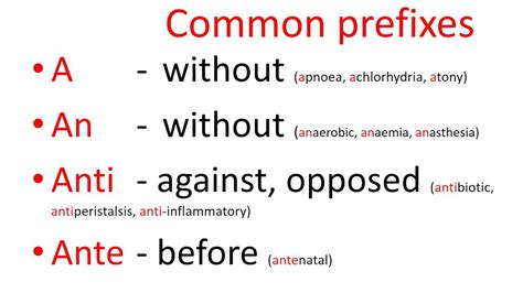 Master Medical Terms Your Guide To Anatomy Prefixes Suffixes Sciencestream Blog