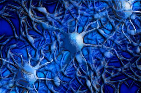 100 Free Synapse And Brain Images Pixabay