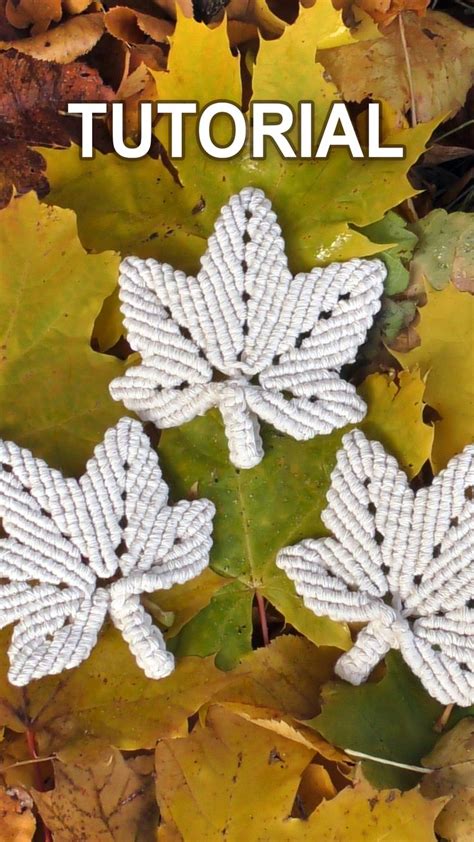 DIY Macrame Leaf Macrame Tutorial Macramepattern Macrame Patterns Macrame Design Free