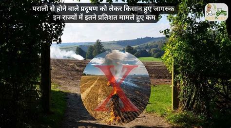 पराली से होने वाले प्रदूषण को लेकर किसान हुए जागरुक इन राज्यों में इतने