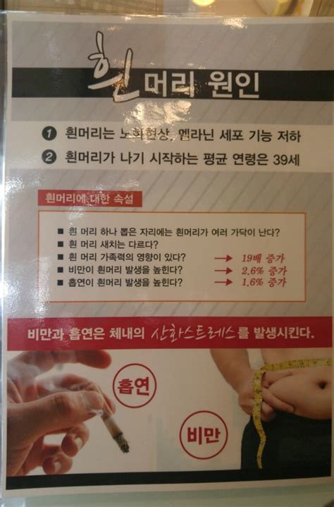 흰머리 원인 활성산소산화스트레스recut리컷흰머리예방두피노화예방얼굴처짐노화흡연비만활성산소산화스트레스