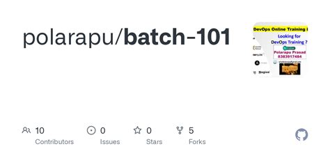 github polarapu batch 101