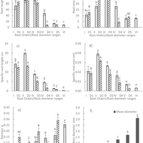 Diameter Interval Distribution Of Number Of Root Tips Of Each Root Download Scientific Diagram