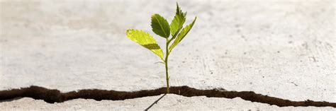 Applied Management Linkedin
