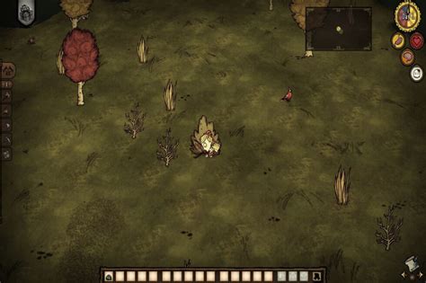 Dont Starve Together Beginner Guide And Tips