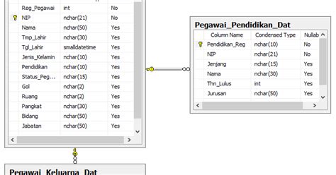 Belajar Visual Basic Merancang Database Untuk Form Pegawai Menggunakan Sql Server