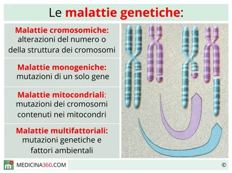 Quali Sono Le Malattie Genetiche Che Caratteristiche Hanno E Come Si