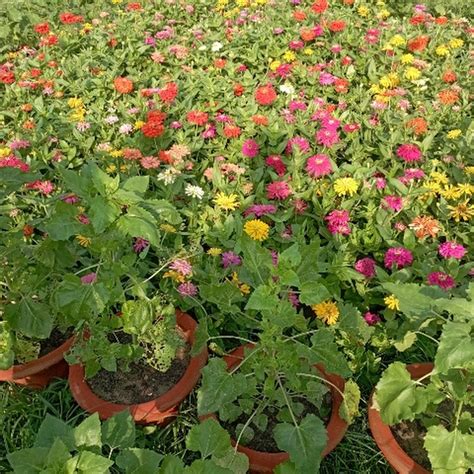 Abhishek Kumar Youtube