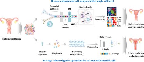 Comparison Between Whole Genome RNA Sequencing Bulk RNA Seq And