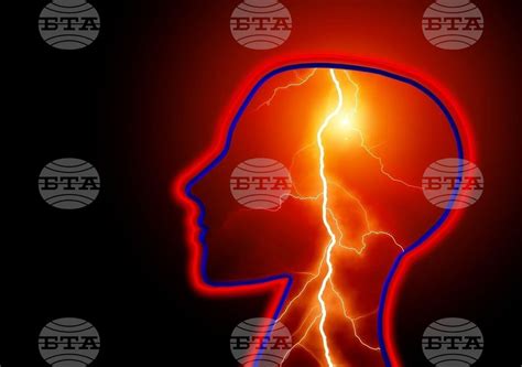 Децата на разведени родители са изложени на повишен риск от инсулт като възрастни сочи