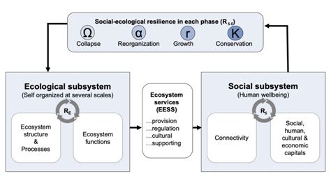 Conceptual Ses Es Adaptive Framework Linking The Ecological Subsystem