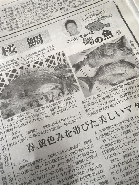桜鯛 魚と海が好き 美味しく食べよう！ （明石の魚 嵜 ～saki～）