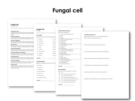Fungal Cell Made By Teachers