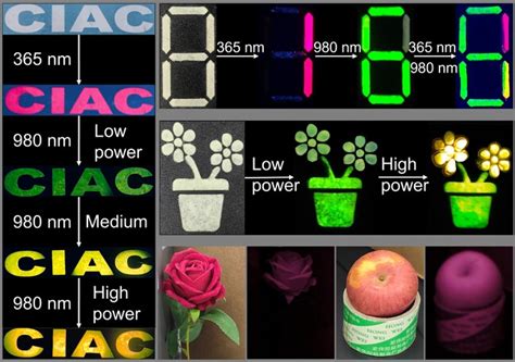 Multimode Luminescence Tailoring And Improvement Of Cs2nahocl6 Cryolite