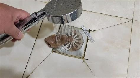 衛生間小黑蟲又出來了，只需簡單一招，家裡再也不會有小飛蟲 ＊ 阿波羅新聞網