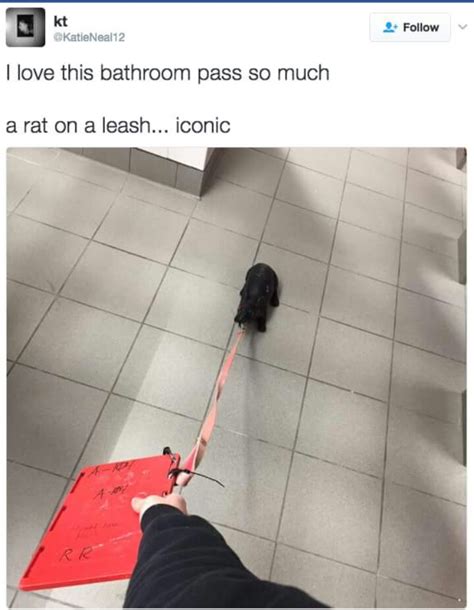 22 Wtf Hall Passes That Wont Make You Miss School Gallery Ebaums