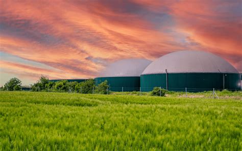 Energia Biomassa Descubra Seus Benefícios