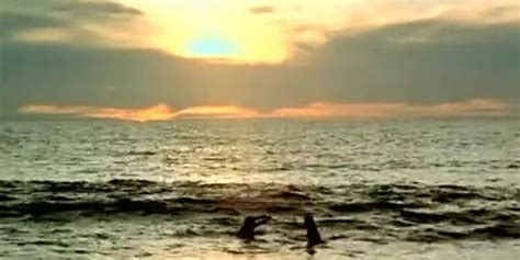 Dona Speir Breasts Scene In Savage Beach