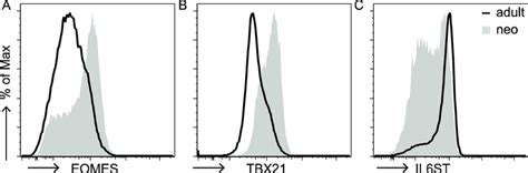 Figure S Representative Flow Cytometry Plots Protein Expression In Download Scientific