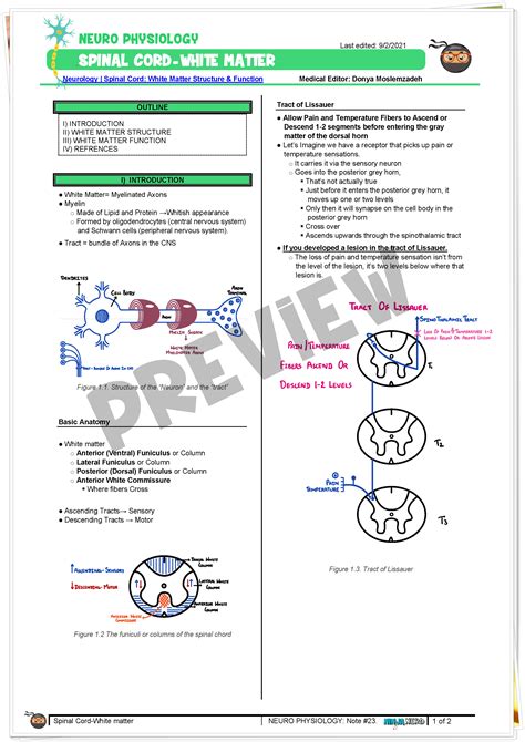 Spinal Cord White Matter Structure Function Notes NinjaNerd Medicine