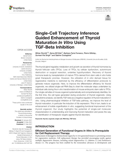 Pdf Single Cell Trajectory Inference Guided Enhancement Of Thyroid