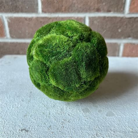 Moss Ball Trove Warehouse