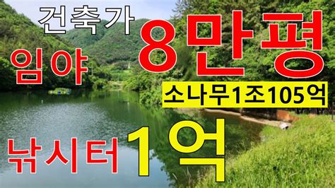 임야 8만8천평 1억 낚시터가능 건축가 자연인 전원생활 숲야영장텐트고기집6차산업 관광농원 숲카페 숲경영약용재배 산분장 임업